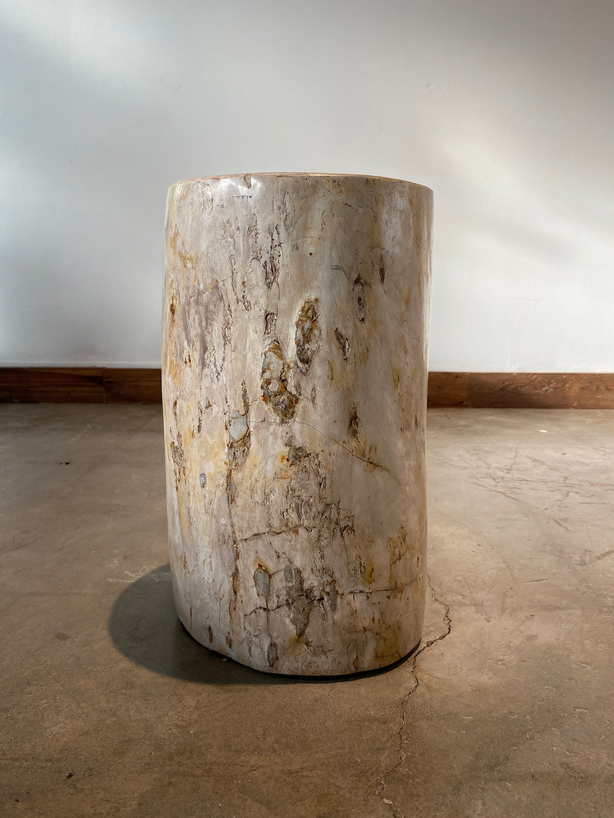Light Beige and Black Petrified solid wood stool block , fossil wood s ...
